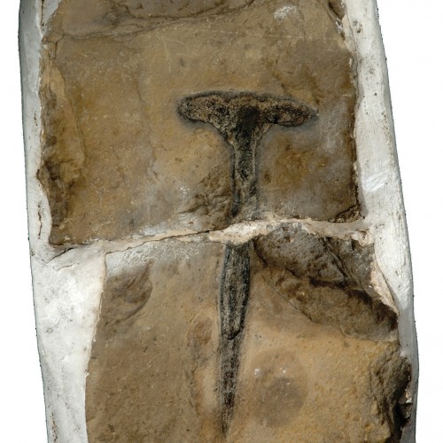 Welcome to Stromness Museum | Stromness Museum